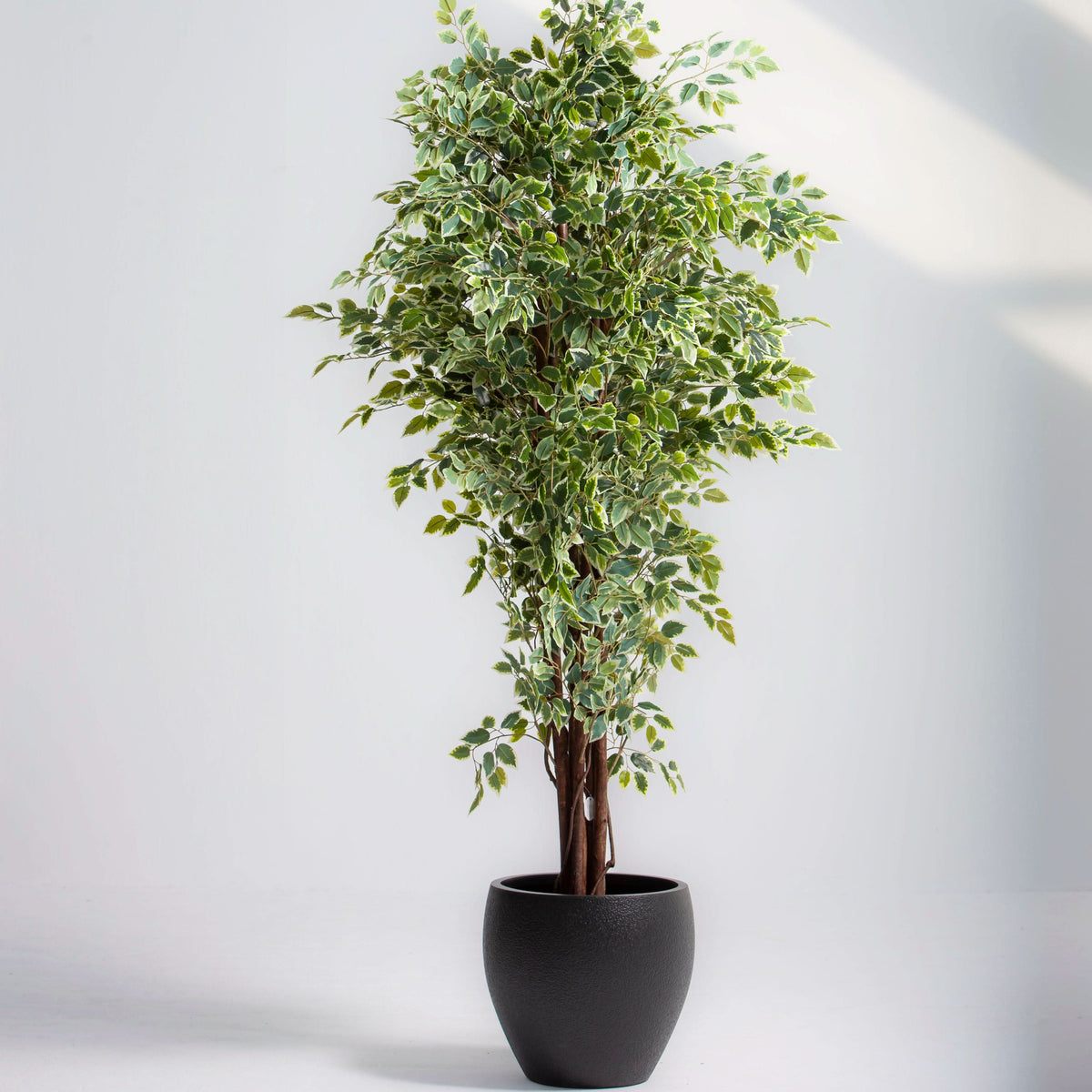 ARTIFICIAL FICUS PLANT